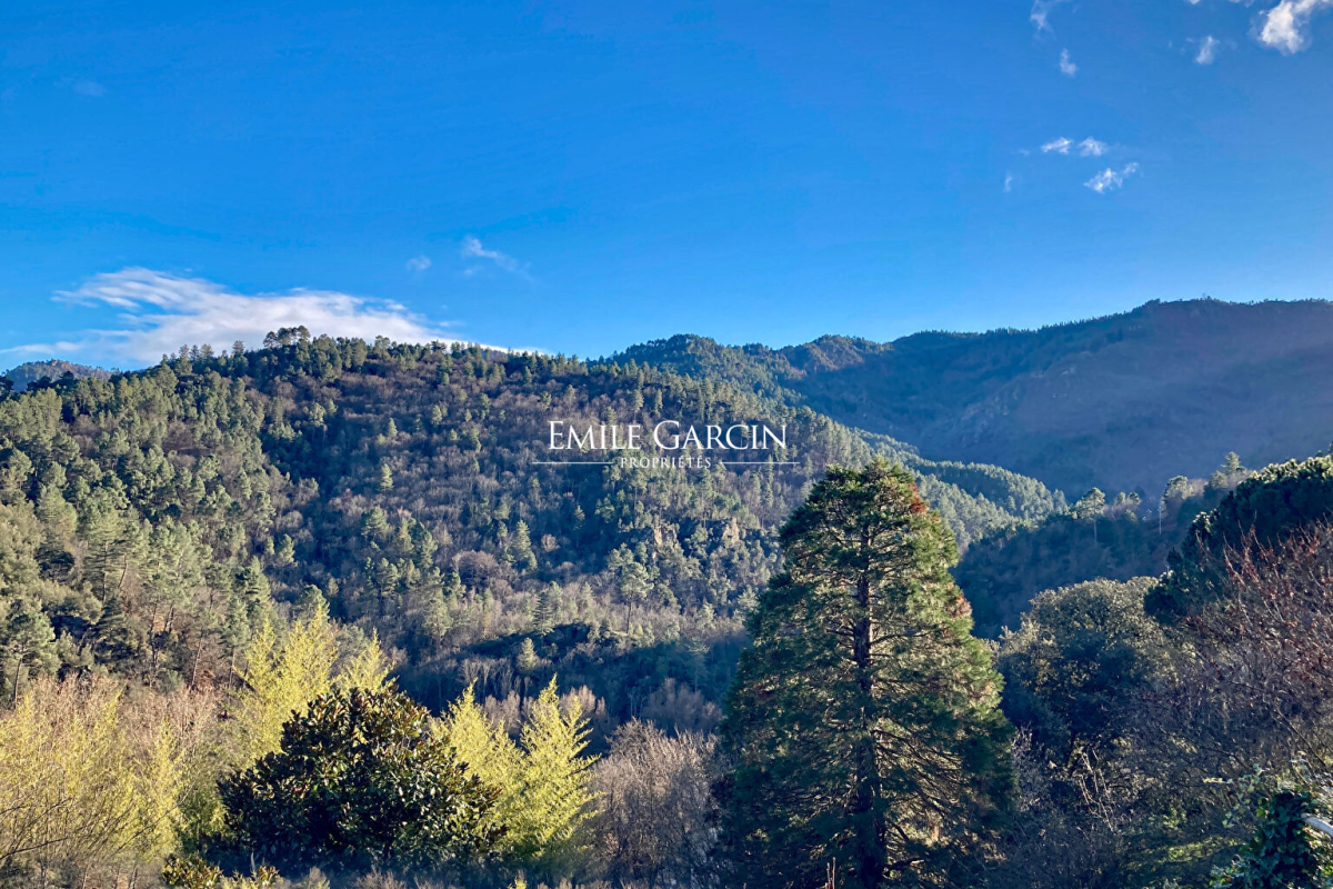 vente maison/villa 14 pièces 600 m² Le Collet-de-Dèze - SARL Emmanuel ...