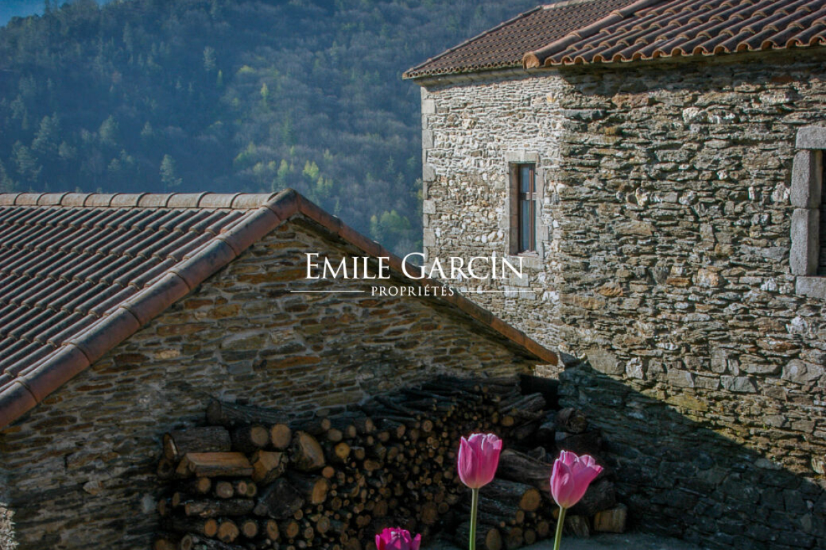 vente maison/villa 14 pièces 600 m² Le Collet-de-Dèze - SARL Emmanuel ...